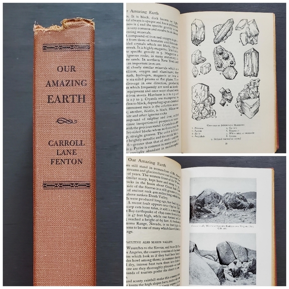 Vintage | Accents | Vintage 938 Our Amazing Earth By Carroll Lane ...